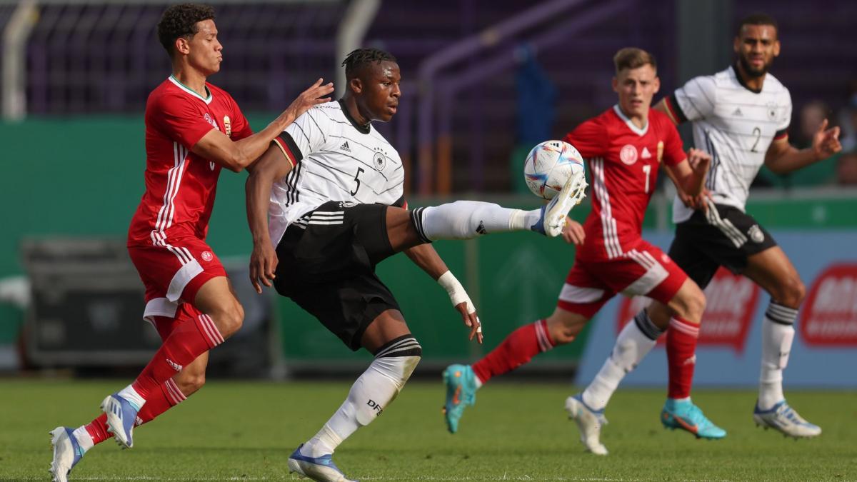 HSV holt Mittelstürmer Németh