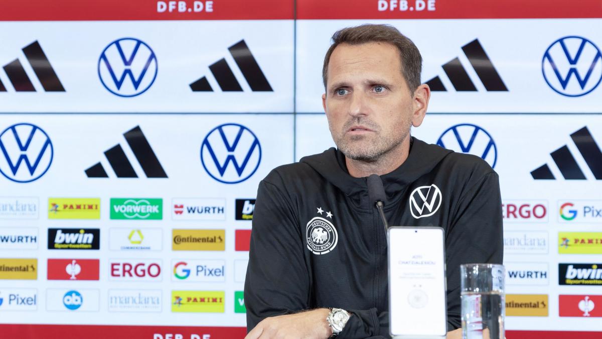 Nürnberg: Drei Kandidaten für das Hecking-Erbe