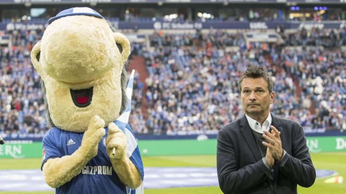 Heidel plant „dreigleisig“: Diese Neuzugänge sind realistisch